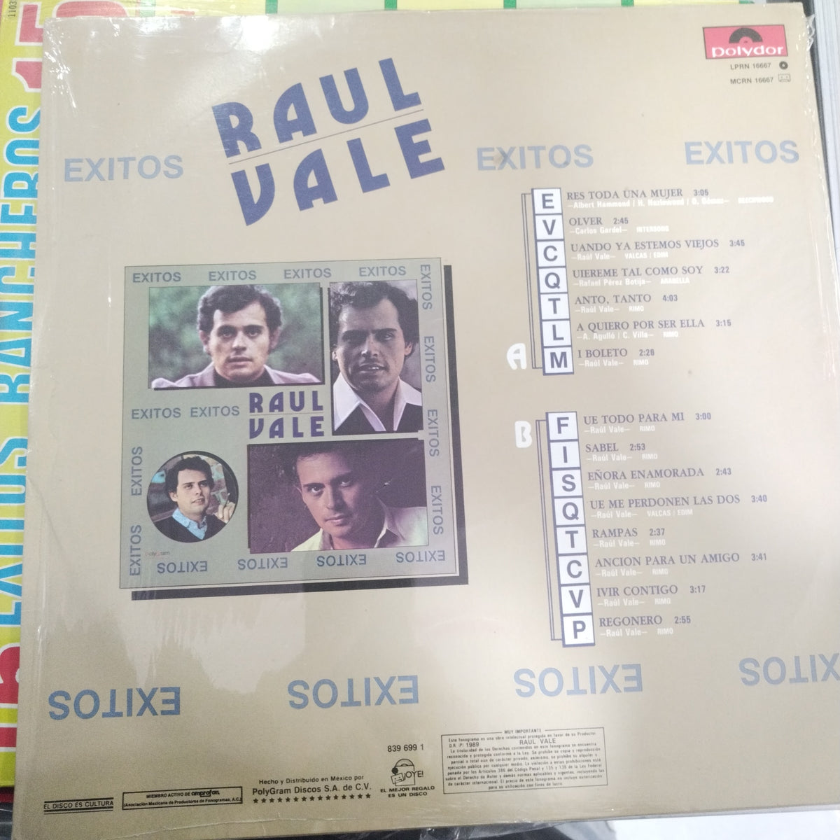 Raúl. Vale. 15 Éxitos – Centro Musical