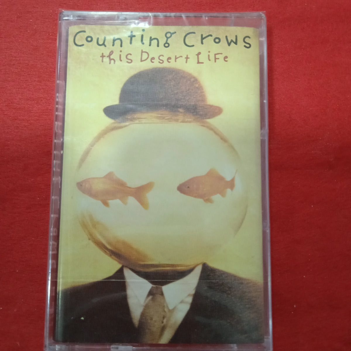 Counting Crows. This Desert Life – Centro Musical